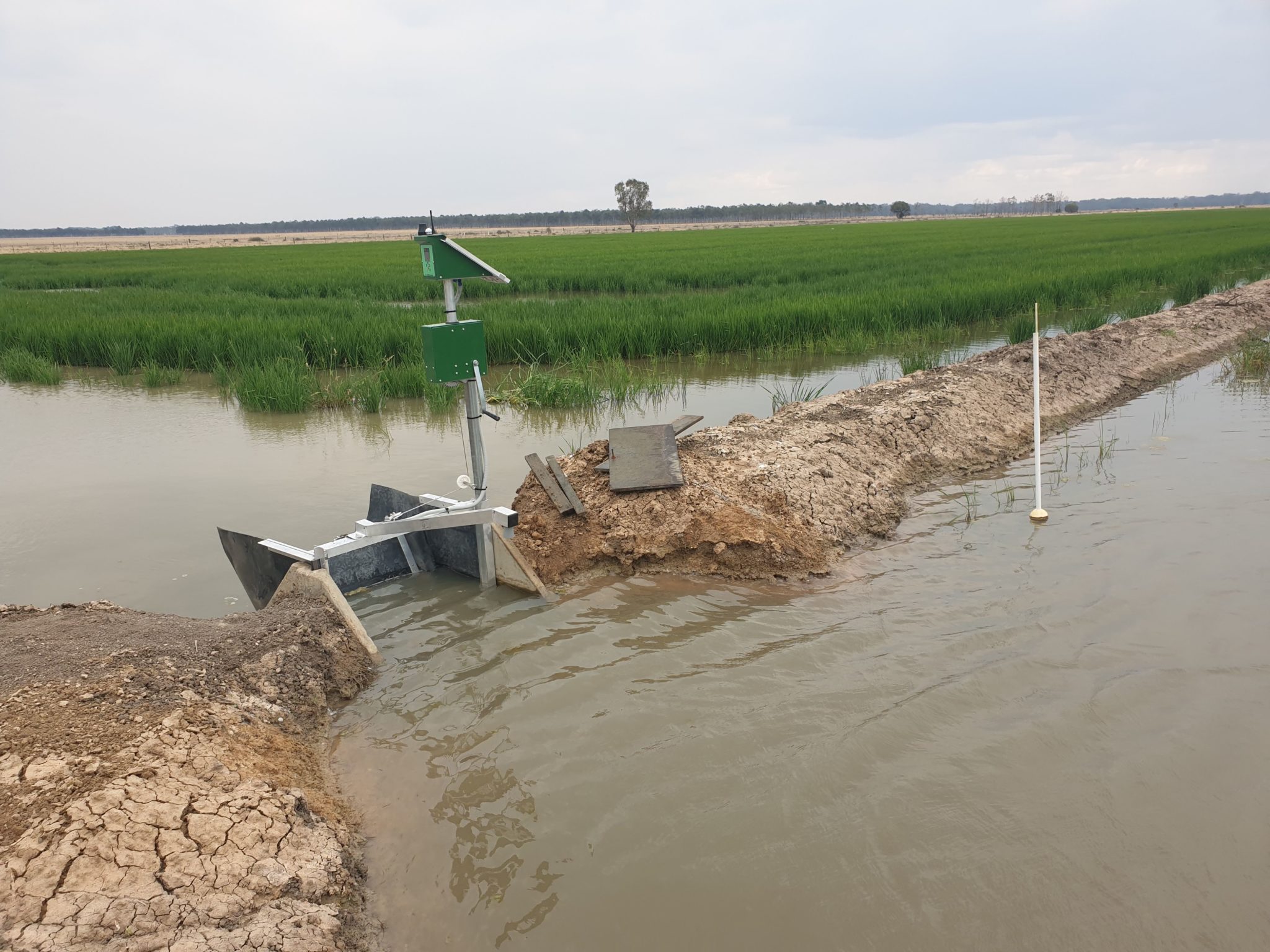 Rice Irrigation Solutions | Resources | Padman Stops